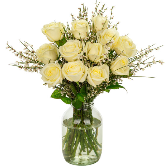 12 White Roses - TheFlowerShop28.com
